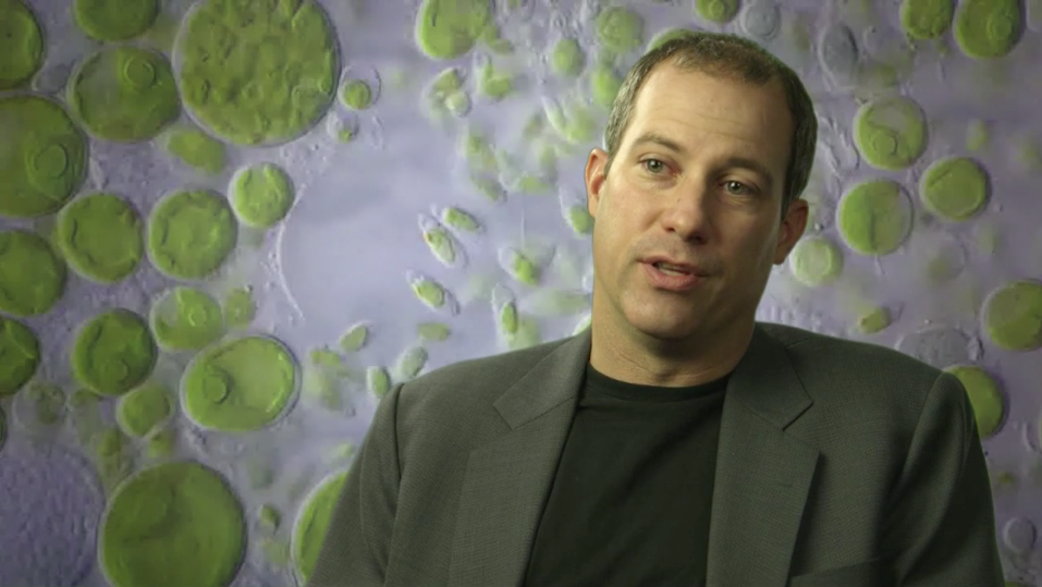 SHFT | Watch | Harrison Dillon, Algae Baron