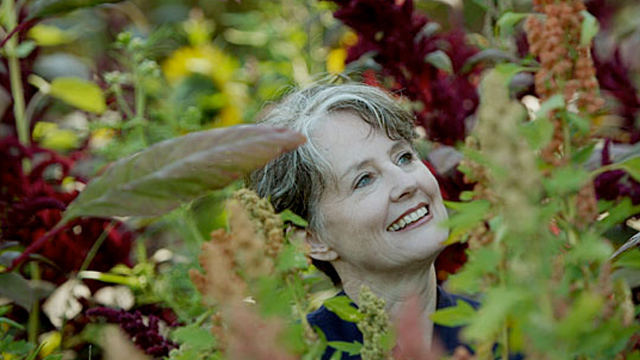 SHFT | Read | Alice Waters: 40 Years of Sustainable Food