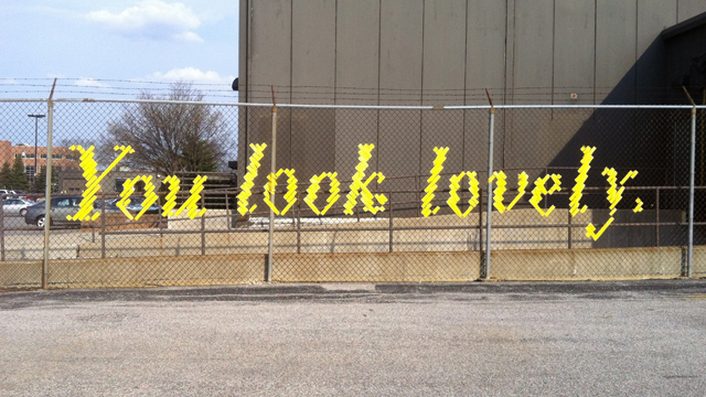 SHFT | Read | Typographic Fence Art by Lambchop