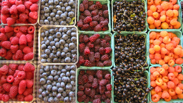 SHFT | Read | Good Mood Foods